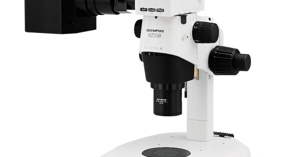 Olympus SZX10 Araştırma Tipi Stereo Mikroskop - Laboratuvar Mikroskopları